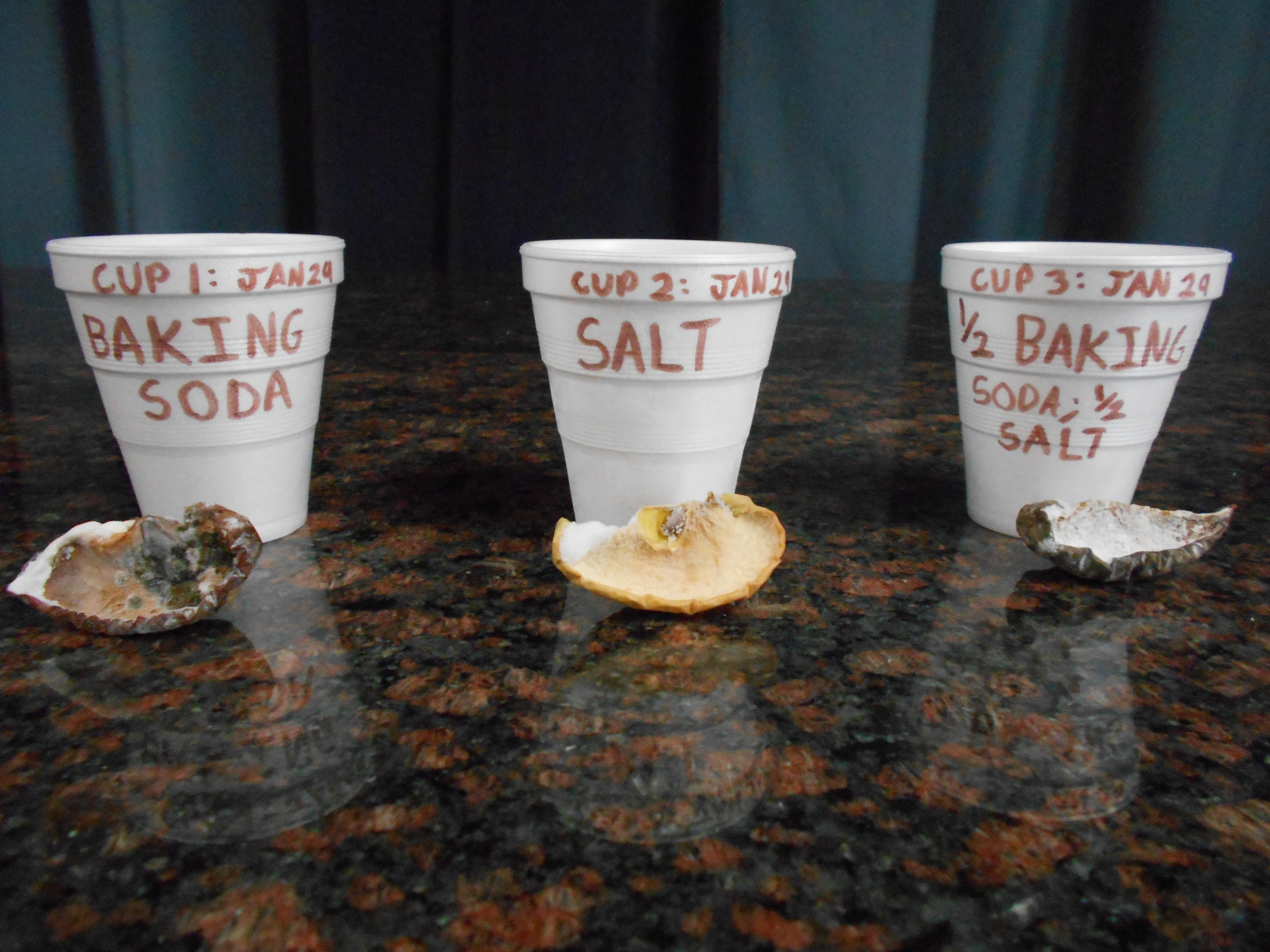 Ancient Egyptian STEM Activities – Mansfield SDA School