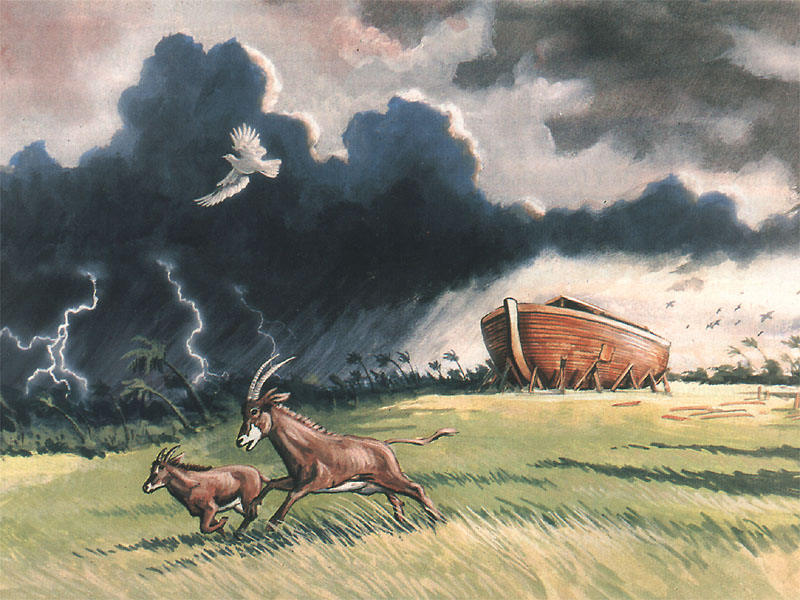 Noah In Real Time Part I – Columbia Midtown Seventh-day Adventist Church