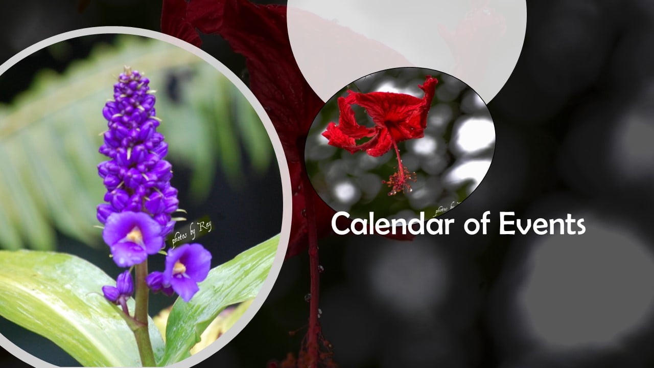 Calendar of Events – New Ebenezer Seventh-day Adventist Church