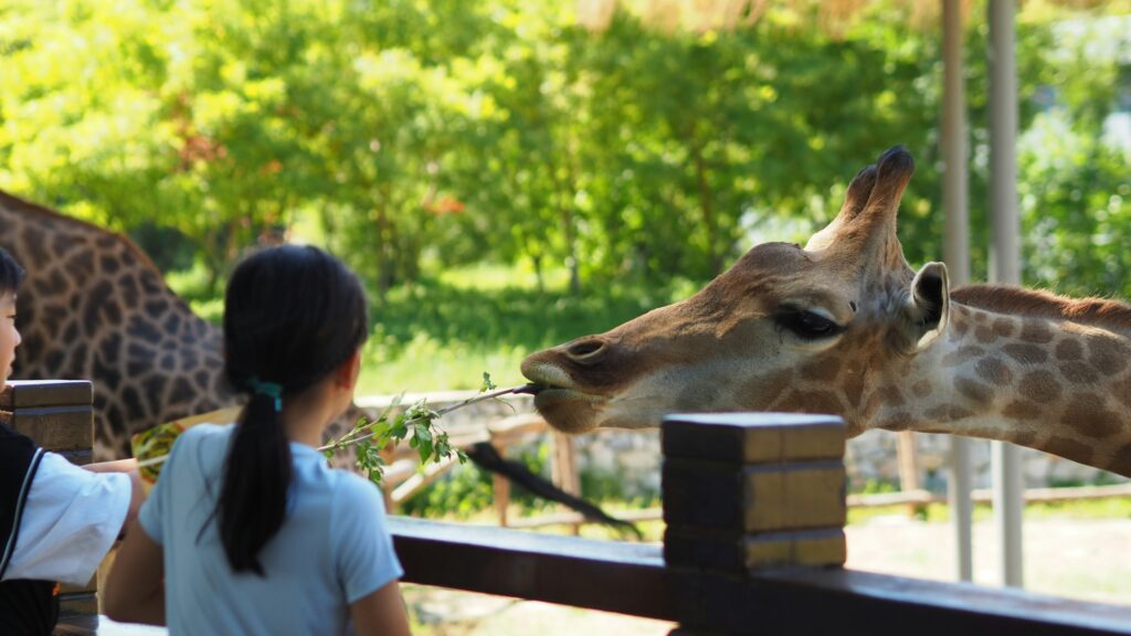 Zoo Trip – Kansas-Nebraska Club Ministries