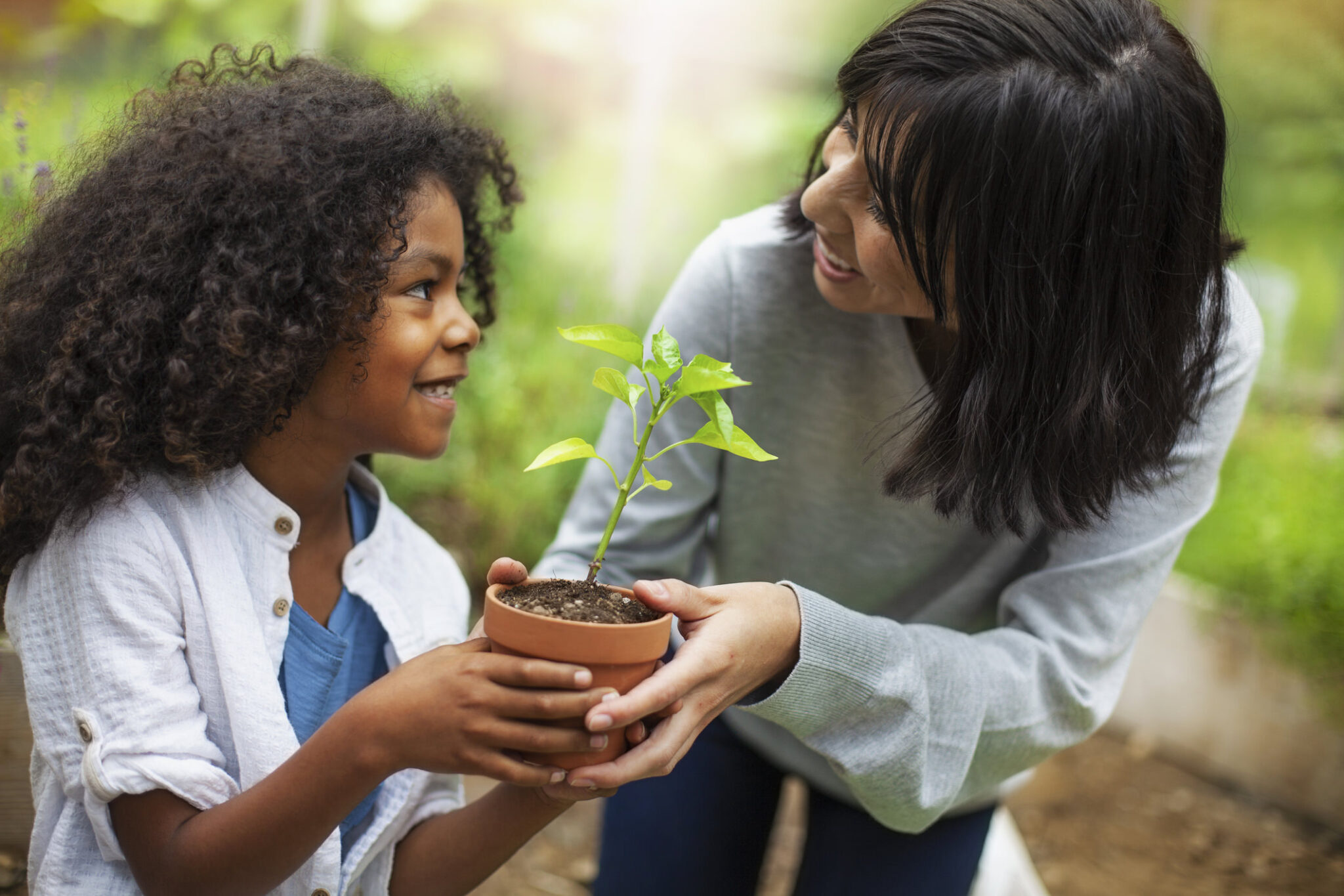 Stewardship and Management – North American Division of Seventh-day ...