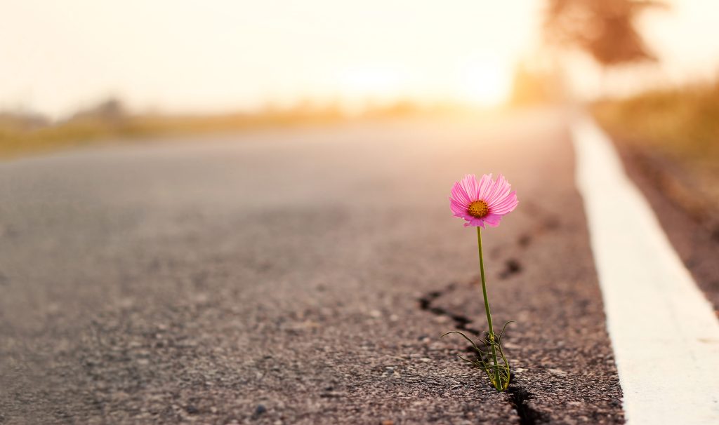 Identifying Negative Thoughts: How to Spot the Lies that Depression and ...