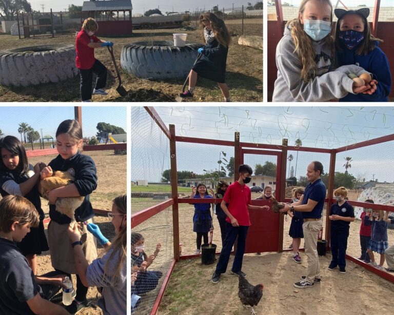 Chicken Club Teaches Students Practical Skills – Southern California ...